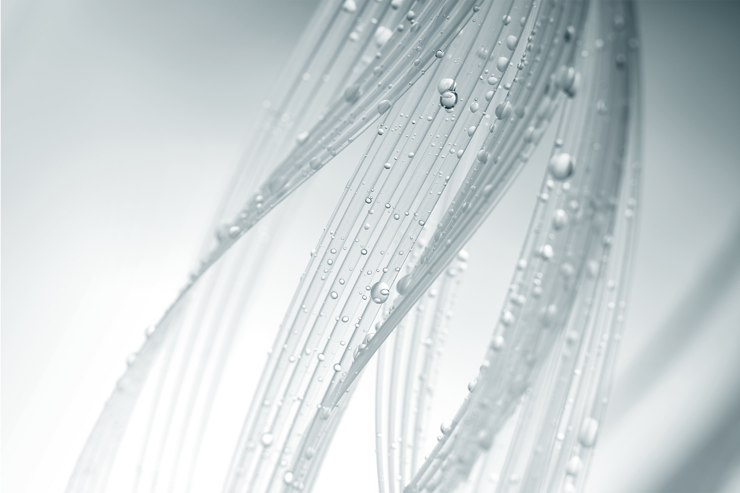 Contact Us - Athena Cosmetics Inc.